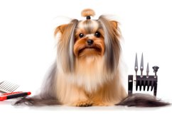 Grooming Service Images Bundle