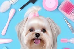 Grooming Service Images Bundle