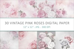 Vintage Pink Roses Digital Paper (2554457)