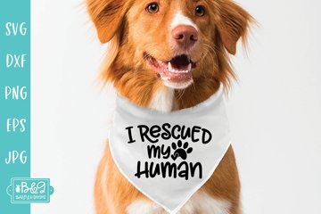 Rescue dog bandana store