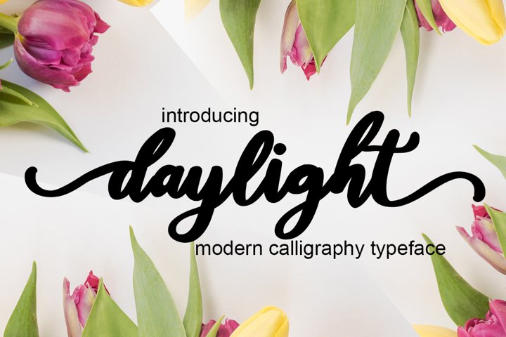 daylight script (241277) | Handwritten | Font Bundles