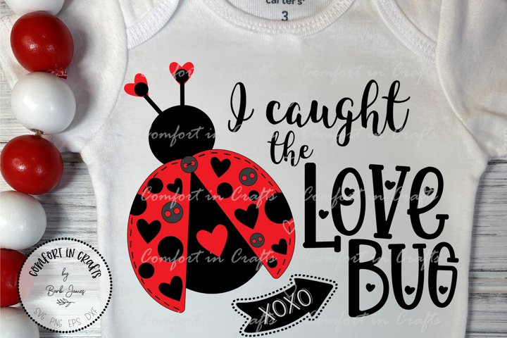 I Caught the Love Bug Valentine SVG (1147952) | Cut Files | Design Bundles