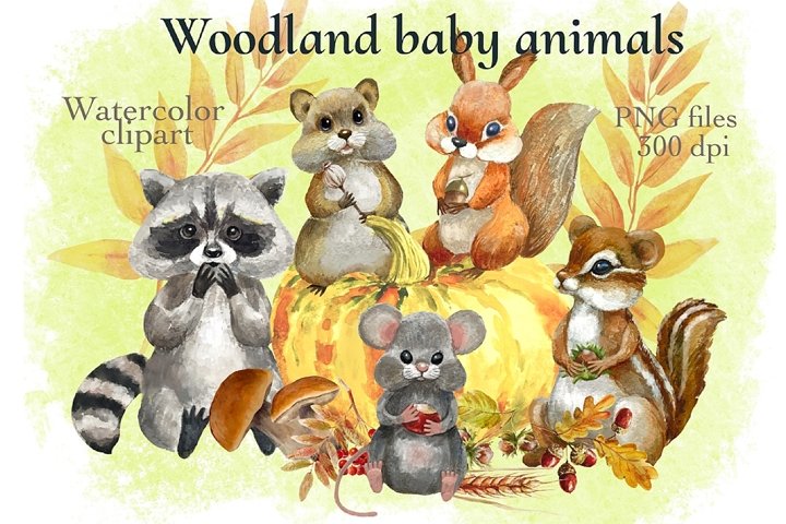 Forest animals watercolor clipart. Woodland baby animals. (929851 ...