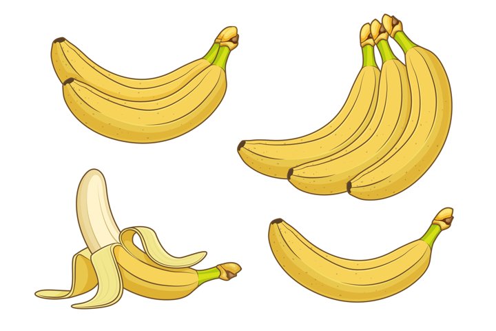 Cartoon banana fruits. Bunches of fresh bananas vector illus (912951 ...