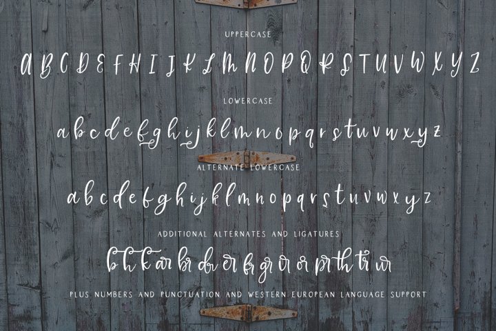 Farmhouse Country Rustic Cursive Font - Free Font of The Week | Font ...