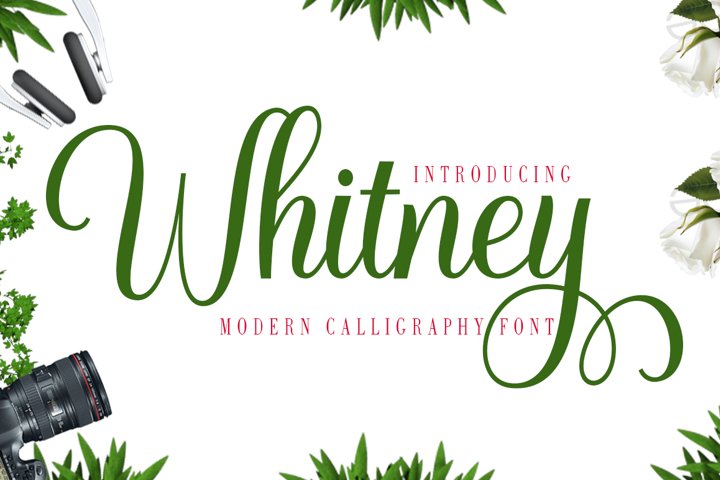 Whitney (750071) | Calligraphy | Font Bundles