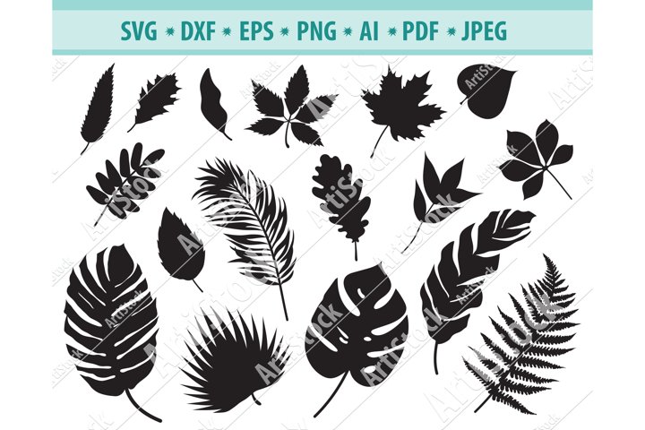 Leaves SVG file, Palm leaves SVG, Tree leaves Dxf, Png, Eps (877549 ...