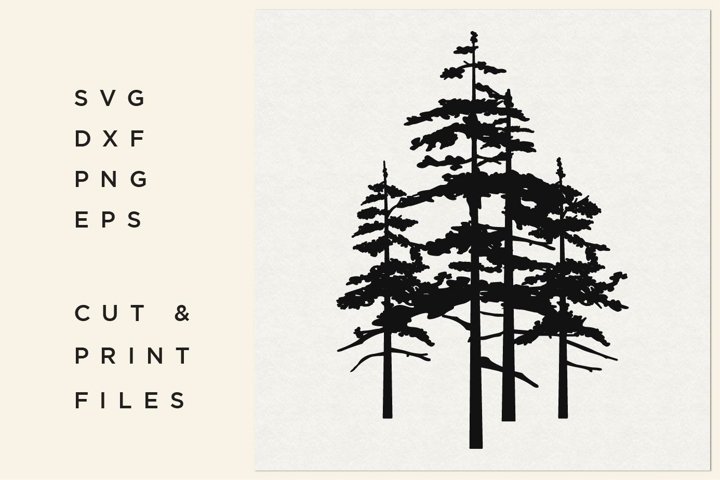 Pine Tree SVG, Trees Vector, Forest, Trees Silhouette (480260) | Cut ...