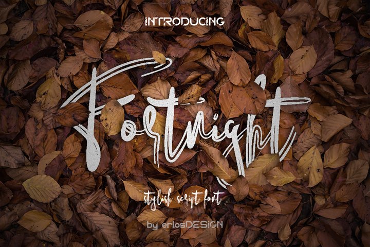 Fortnight Font (710648) | Brush | Font Bundles
