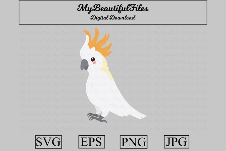 Cockatoo SVG - Cute animal SVG, EPS, PNG and JPG (907323 ...