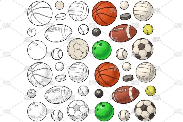 Set different kinds sport balls. Engraving vintage vector (203455 ...