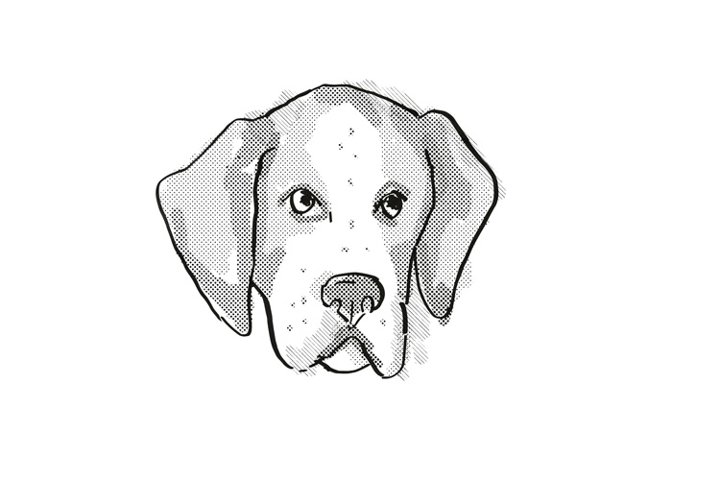 American Foxhound Dog Breed Cartoon Retro Drawing (372922 ...