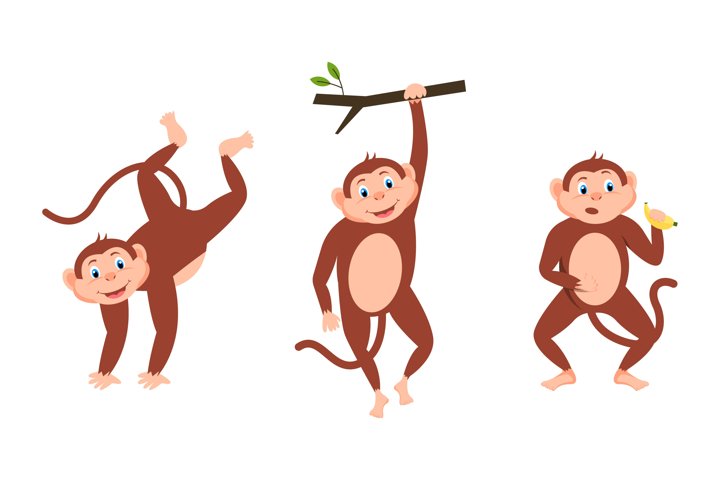 Monkey Illustrations