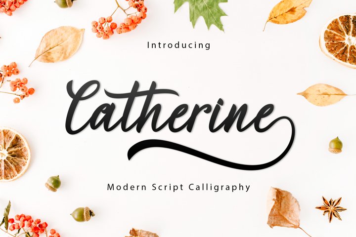 Catherine Script (149591) | Calligraphy | Font Bundles