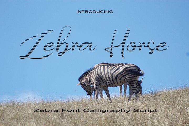 Zebra Horse (427686) | Calligraphy | Font Bundles