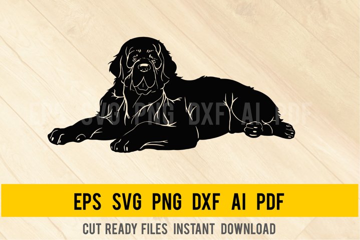 Newfoundland svg, Breed Dogs SVG, Pet Pup, Cut Art (1121567) | Cut ...