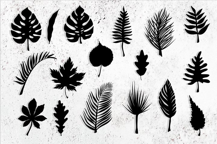 Stencil of leaves set. Leaf icon (1170555) | Icons | Design Bundles
