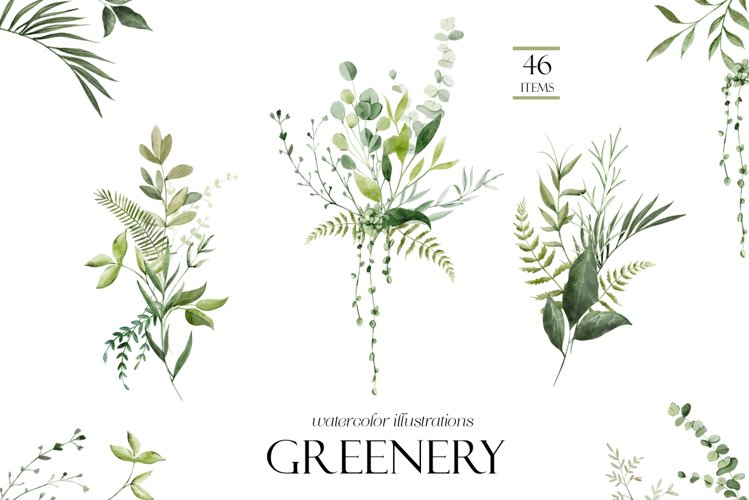 Greenery watercolor illustrations