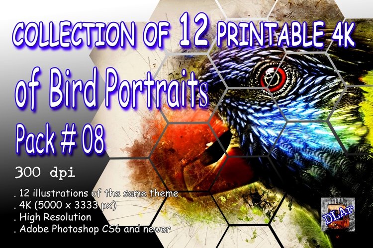 Collection of 12 Images 4k of Bird Portraits PACK 08 300 dpi