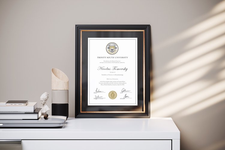 Award Document Frame Mockup (2929201)