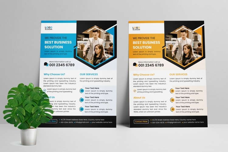 Pro Corporate Flyer Template (2397738)