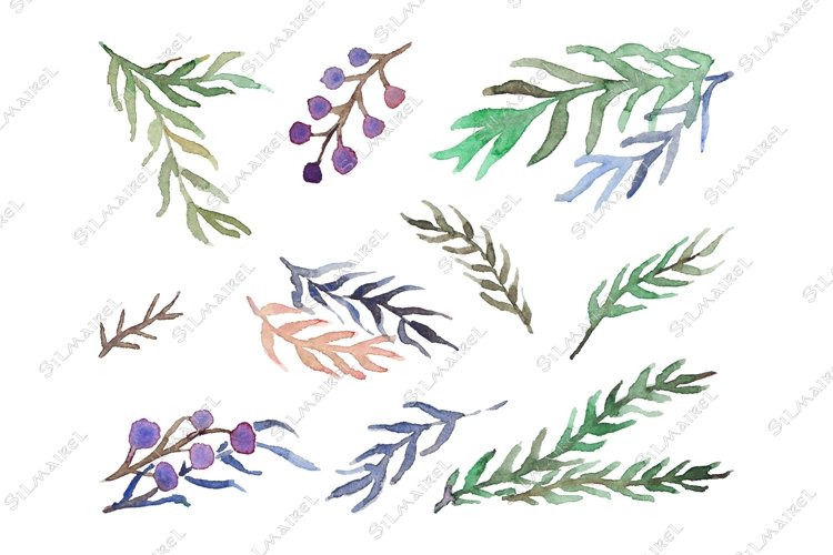 Watercolor hand drawn green violet branch leaf berry floral
