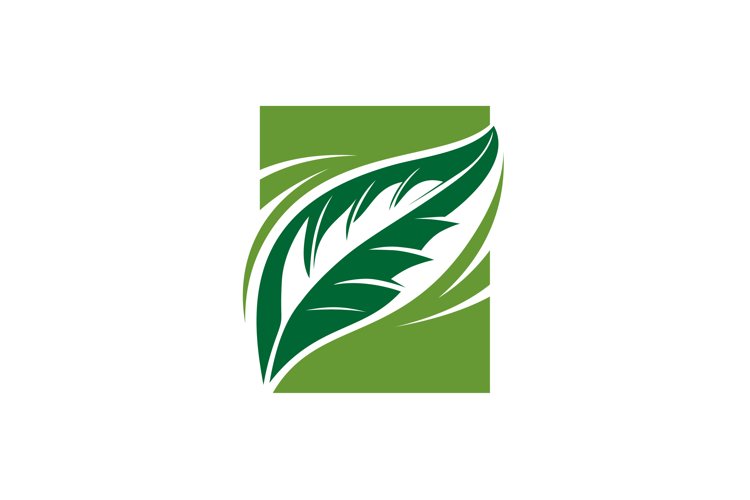 Green leaf logo inspiration