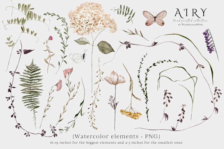 Airy Subtle Wildflowers Watercolor Clipart Wild Flower Plant (2061143 ...