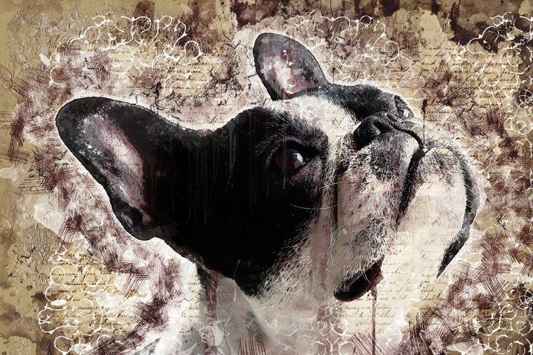 Printable Dog Graphics Pack #07 JPG 300 dpi Illustration