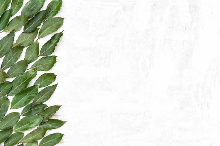 Floral border green laurel leaves frame stock photo