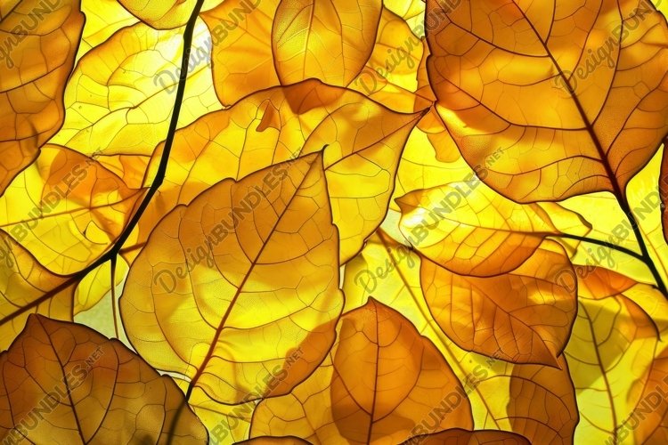Vibrant Texture Of Autumn Background Wallpaper
