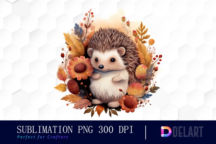 Little Hedgehog Watercolor Clipart PNG
