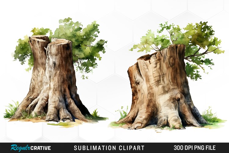 Tree Trunk Illustration PNG Clipart