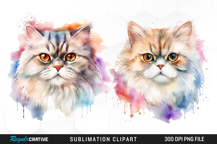 Watercolor Persian Cat Art Clipart
