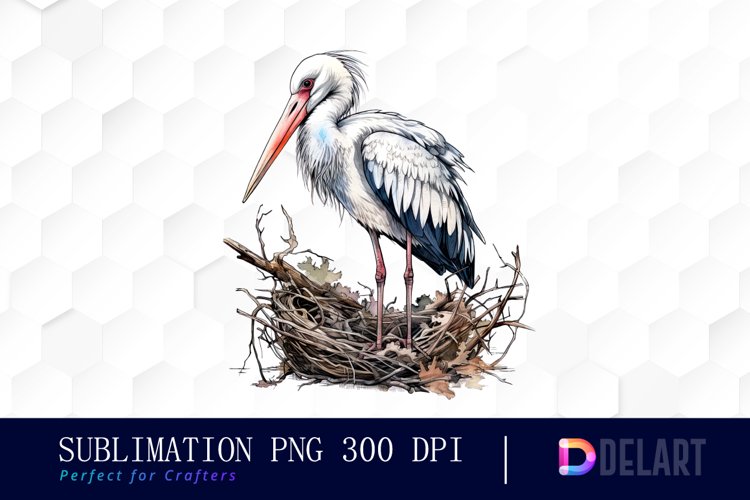 Stork Bird Watercolor Clipart Image