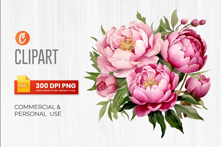 Pink Peony Flowers Bouquet Clipart PNG (3160506)