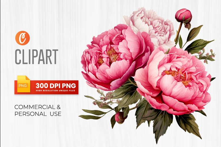 Pink Peony Flowers Bouquet Clipart PNG (3160524)