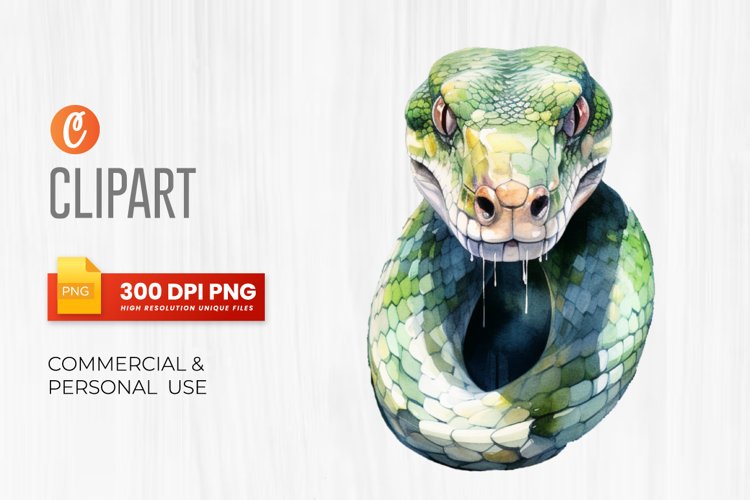 Watercolor Mr Snake Clipart Digital PNG (3191445)