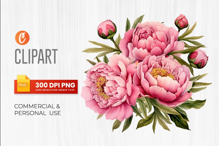 Pink Peony Flowers Bouquet Clipart PNG (3160529)