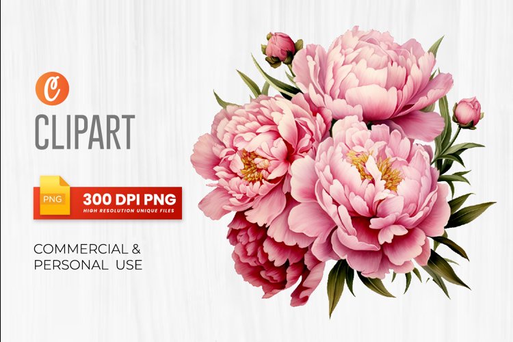 Pink Peony Flowers Bouquet Clipart PNG (3160525)
