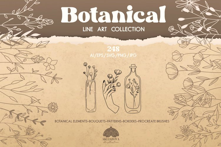 Botanical line art collection