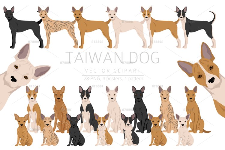 Taiwan dog clipart
