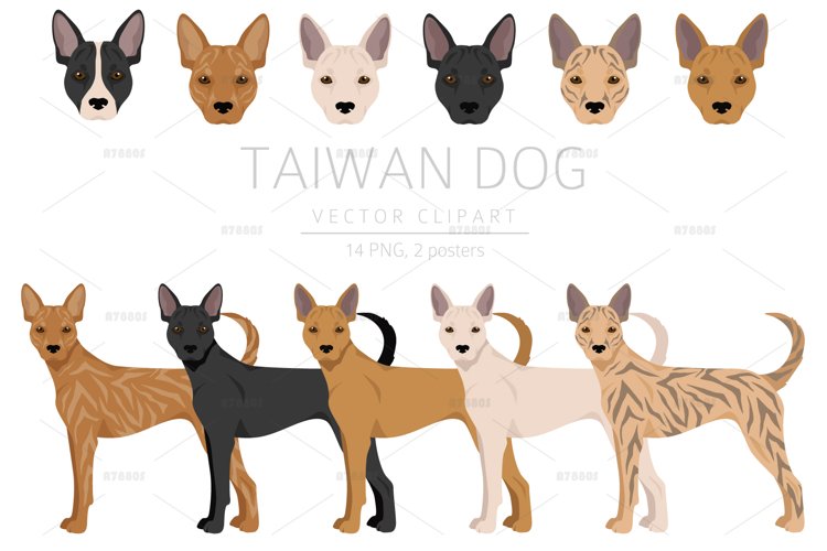 Taiwan dog clipart