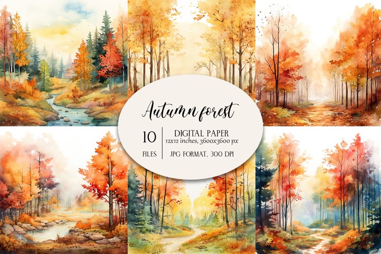 Autumn forest, digital paper