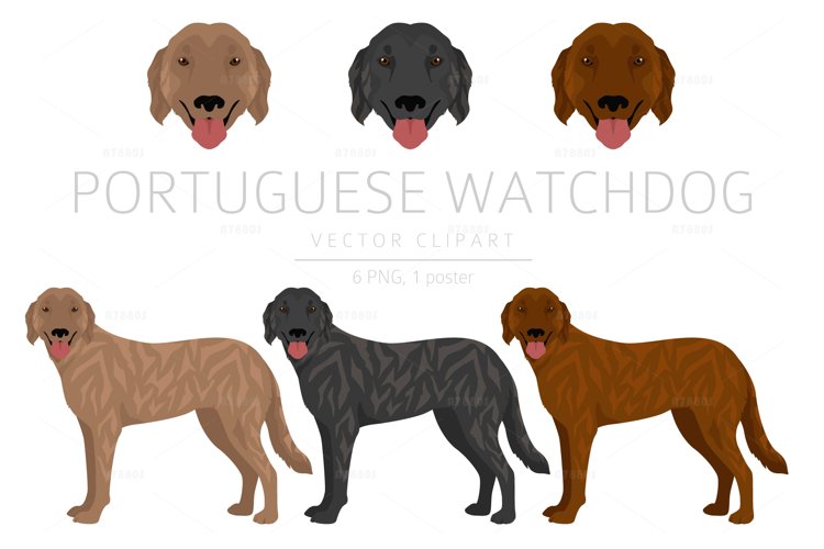Portuguese Watchdog clipart