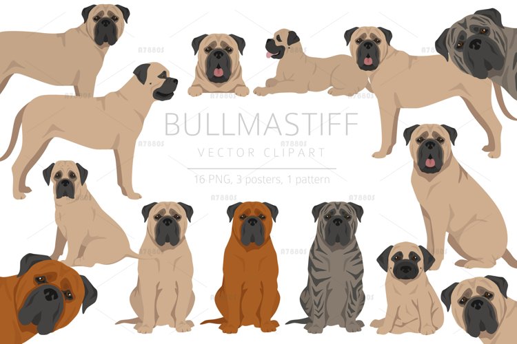 Bullmastiff clipart (2410555)