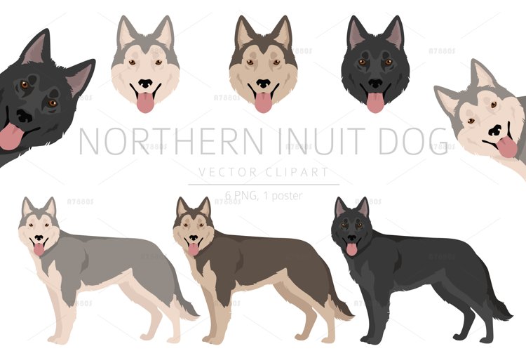 Northern Inuit dog clipart