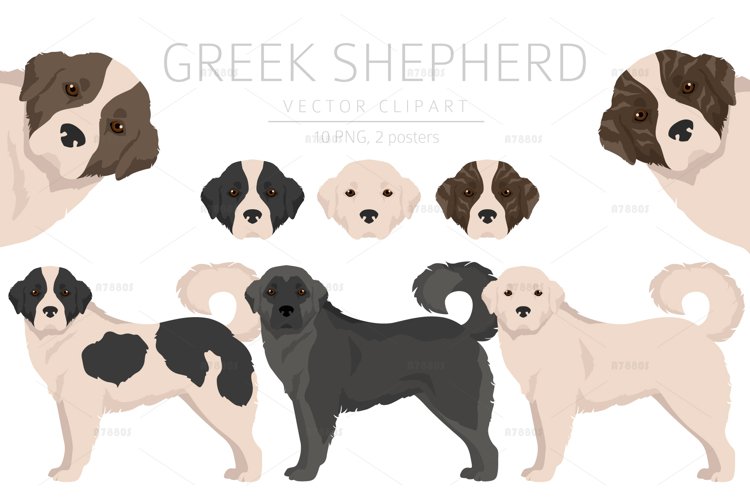 Greek Shepherd clipart