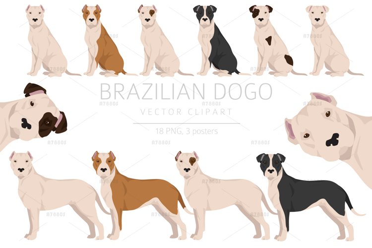 Brazilian Dogo clipart