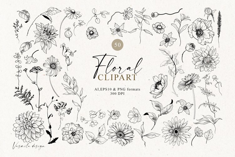 Floral line art clipart PNG